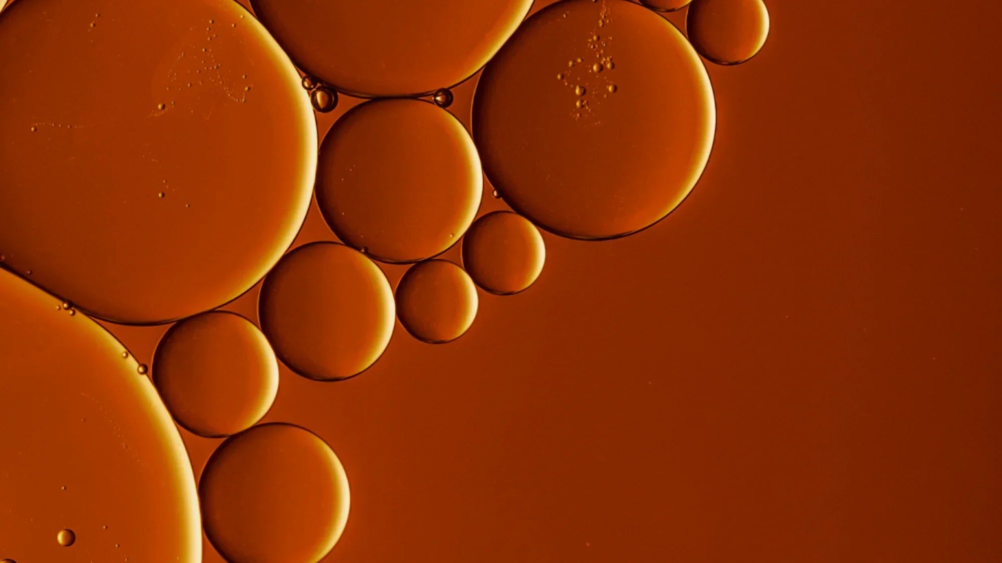 Peptídeos na Dermatologia: Como Eles Atuam na Firmeza e no Rejuvenesci